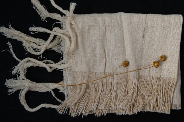 Biodegradable Clothes: The Revolution of Fashion Industry