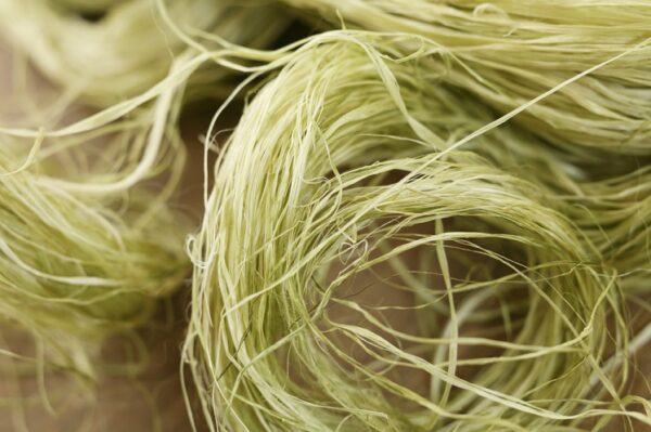 Ramie Fiber: Exploring The Eco-Friendly Garment for A Greener Tomorrow