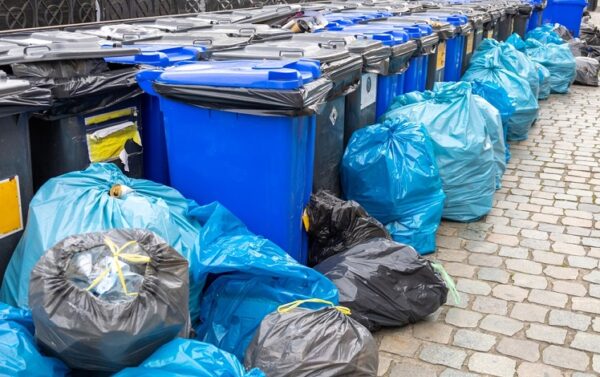 How Does Plastic Harm the Environment: Uncovering the Ecological Impact