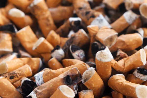 The Truth Unveiled: Are Cigarette Filters Really Biodegradable ...