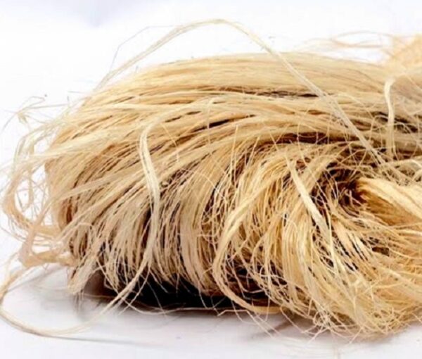 Banana Fiber as an Alternative Paper: Sustainable Solutions for Future ...